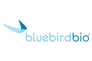 Trials of bluebird's LentiGlobin now on FDA hold | Biotechnology | The ...
